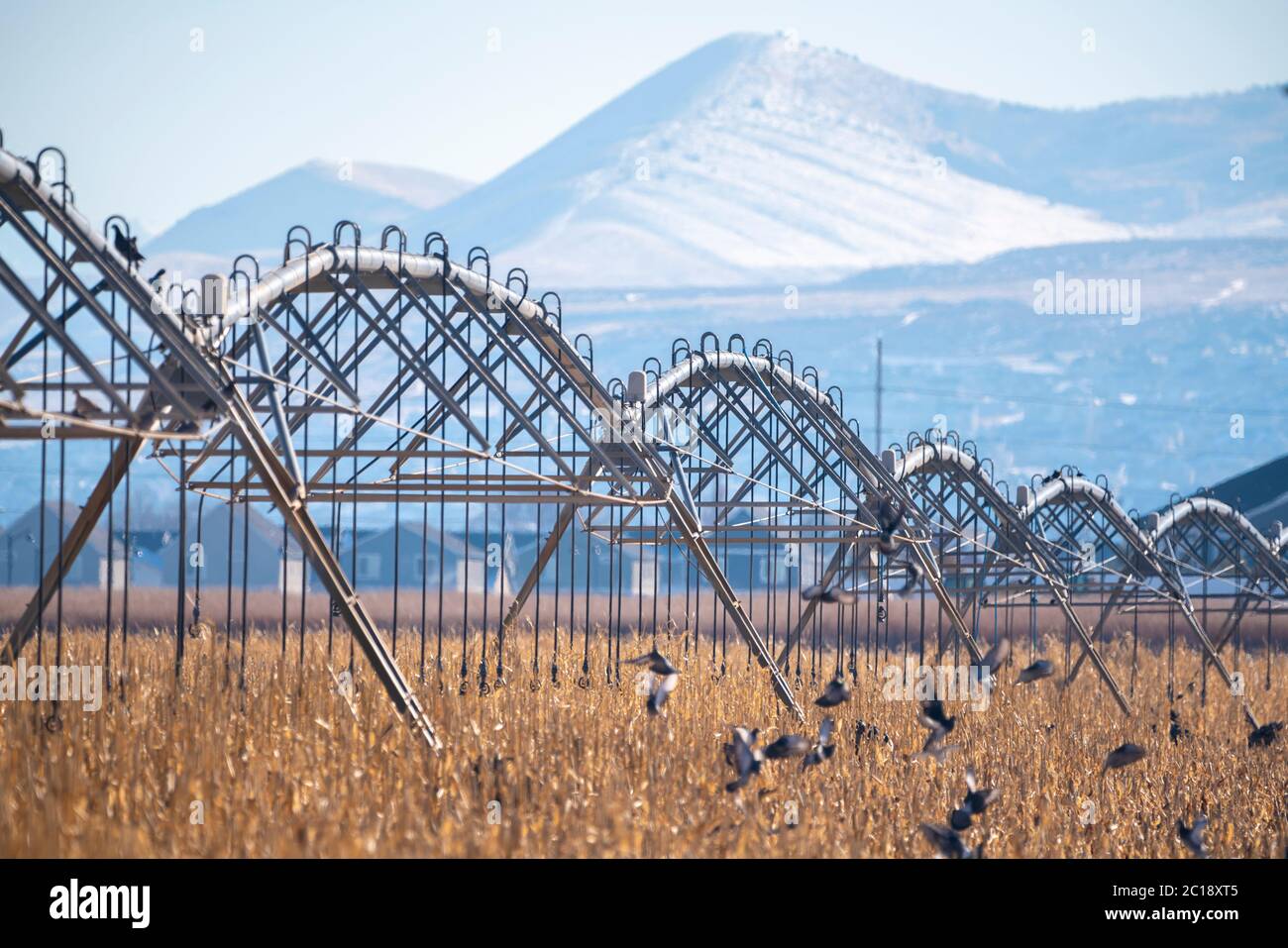 Large agricultural irrigation system in a field Stock Photo - Alamy