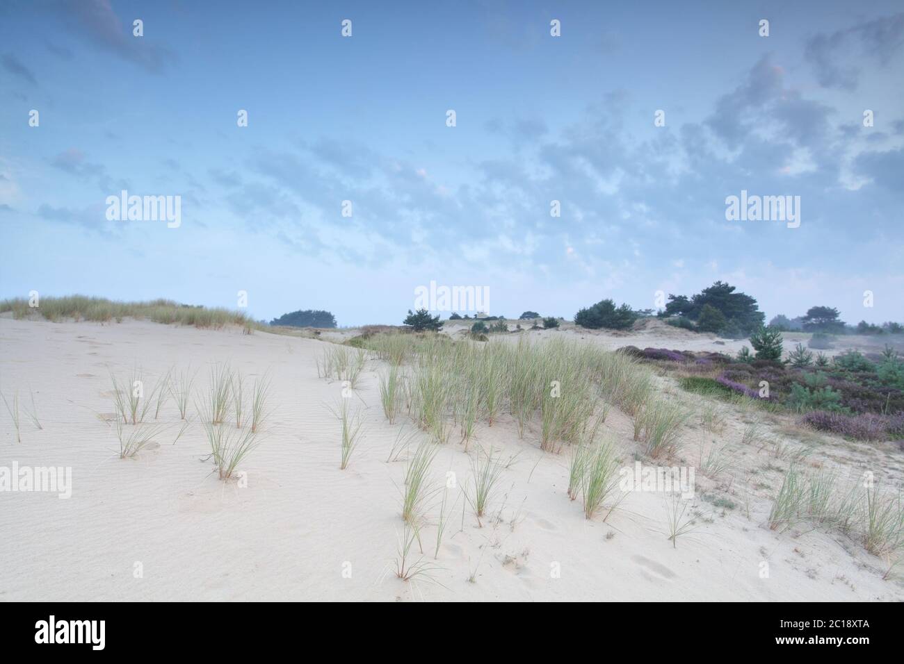 Dand hi-res stock photography and images - Alamy