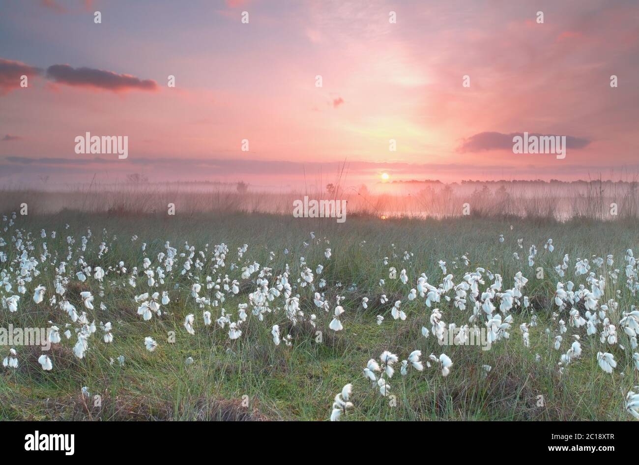 Red misty sunrise hi-res stock photography and images - Alamy