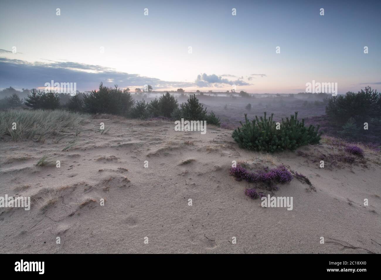 Heather sand hi-res stock photography and images - Alamy