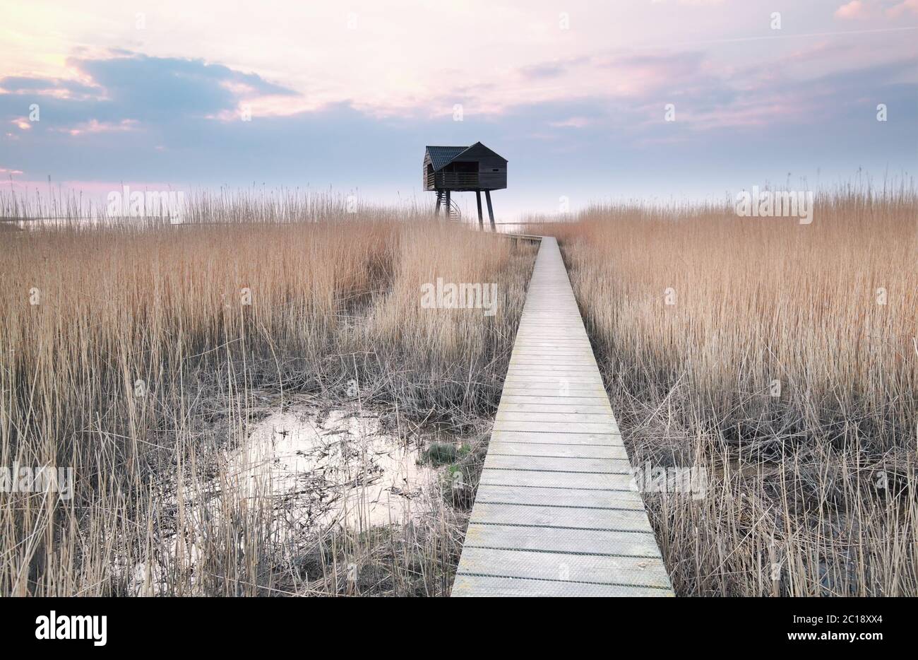 wooden path to observation tower Stock Photo - Alamy