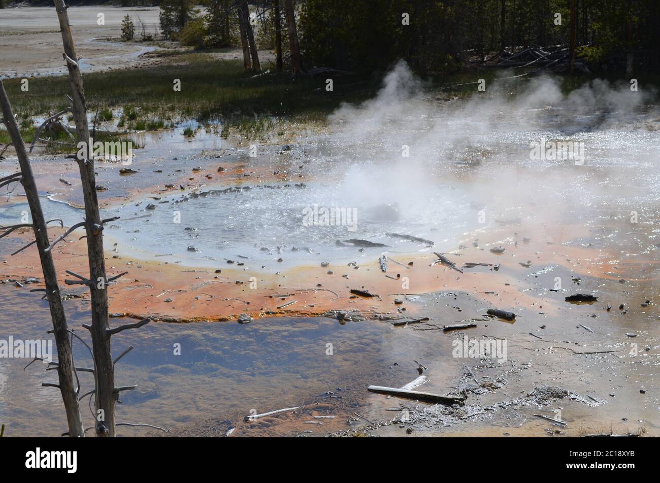 Yellowstone geothermal area hi-res stock photography and images - Alamy
