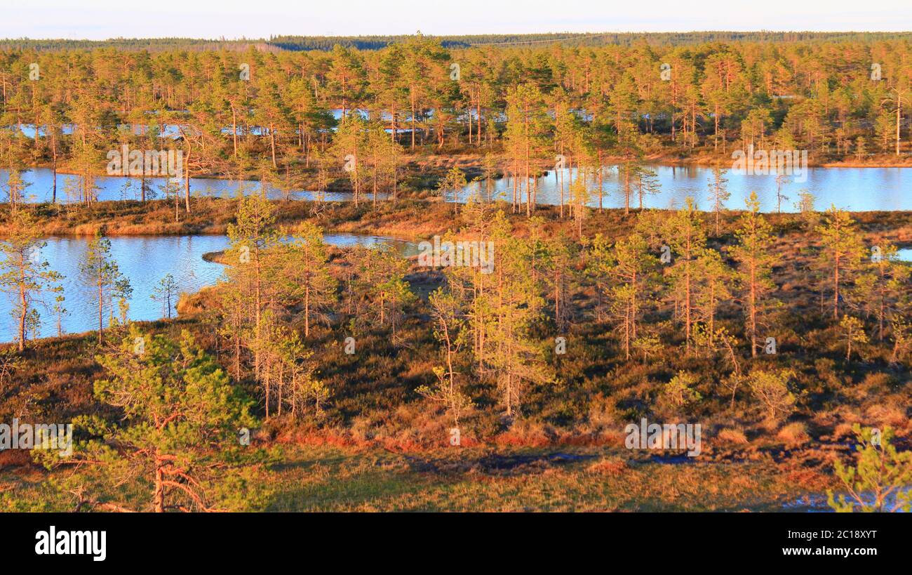 Huidankeidas hi-res stock photography and images - Alamy