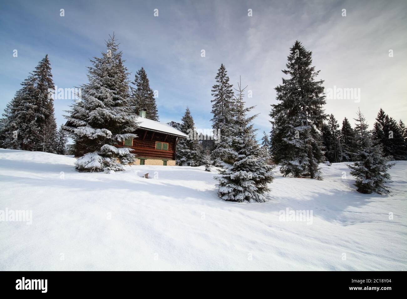 hut between spruce trees in winter Stock Photo - Alamy