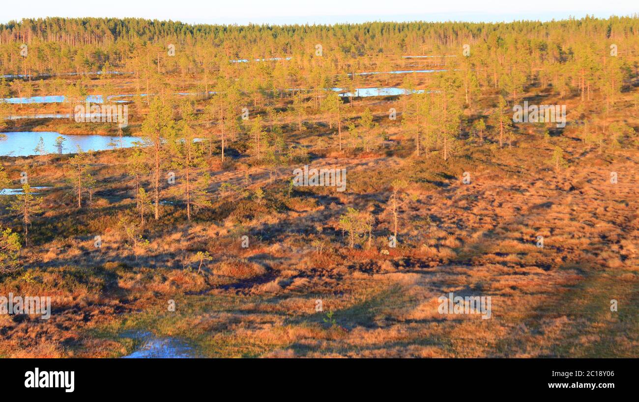 Huidankeidas, Honkajoki, Finland Stock Photo - Alamy