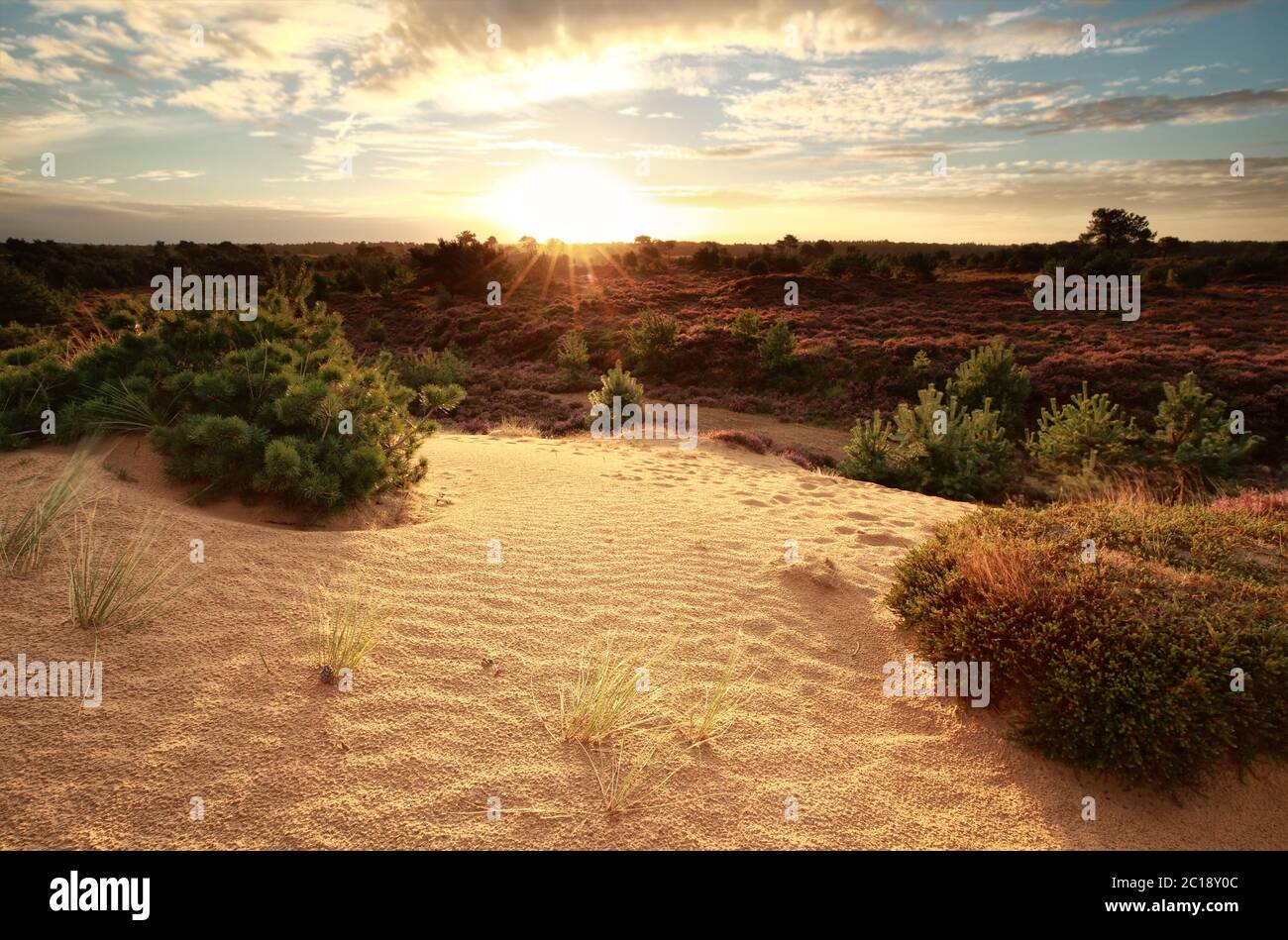 Gold sunrise hi-res stock photography and images - Alamy