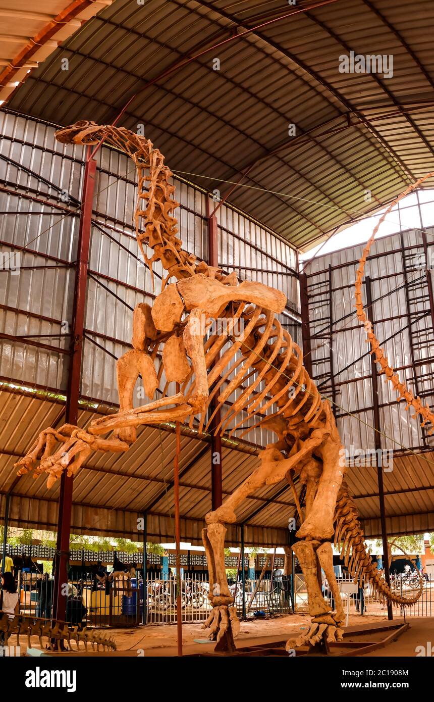 skeleton of Dinosaur Jobaria tiguidensis in Niamey, Niger Stock Photo ...