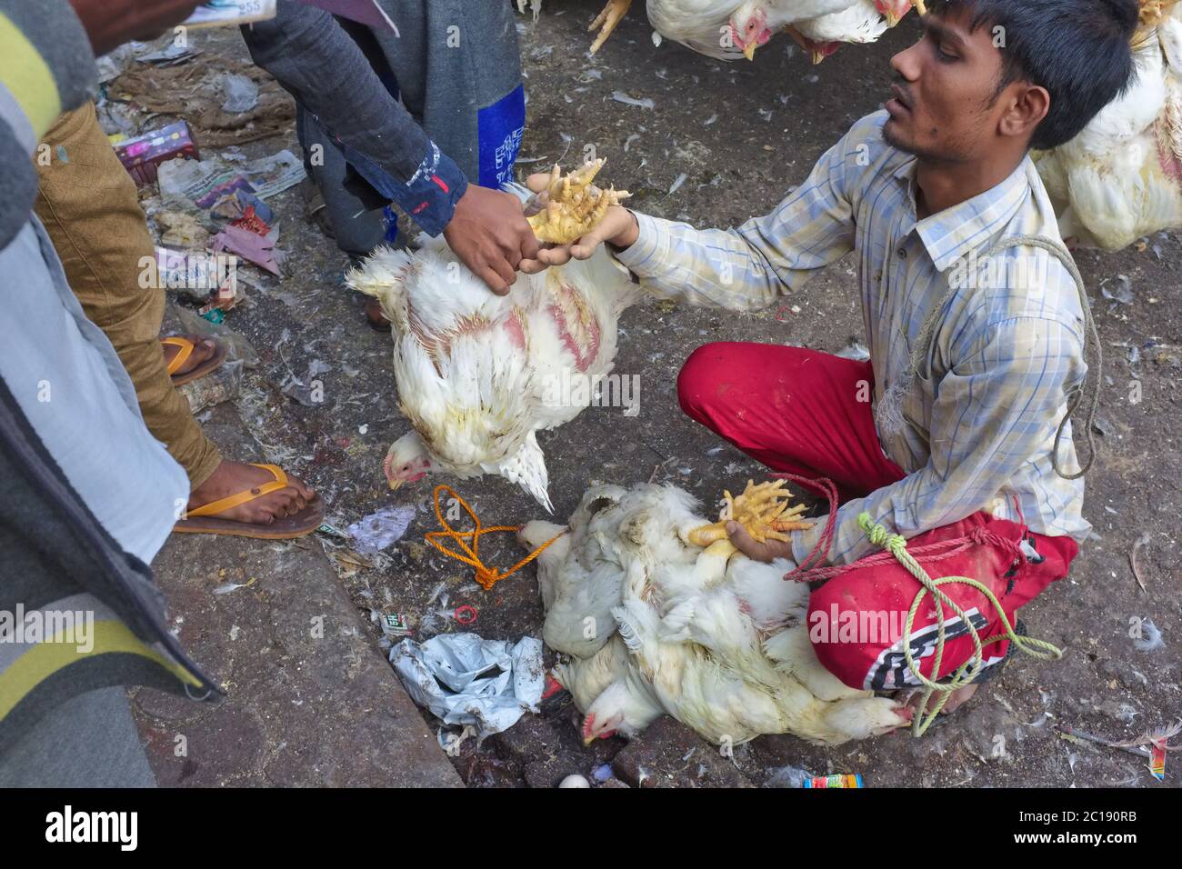 India chicken consumption hi-res stock photography and images - Alamy