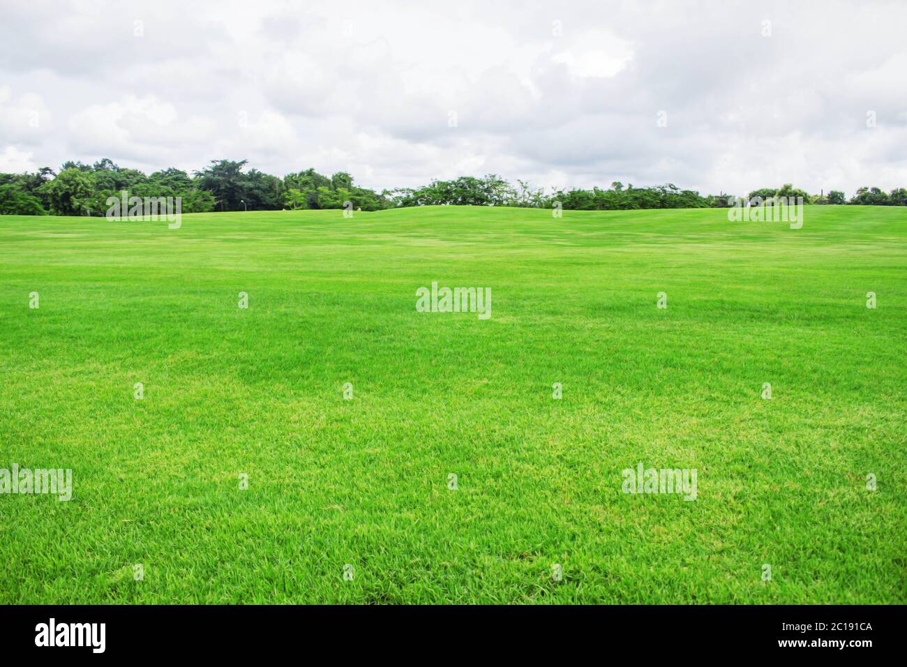 lawn with the sky Stock Photo - Alamy