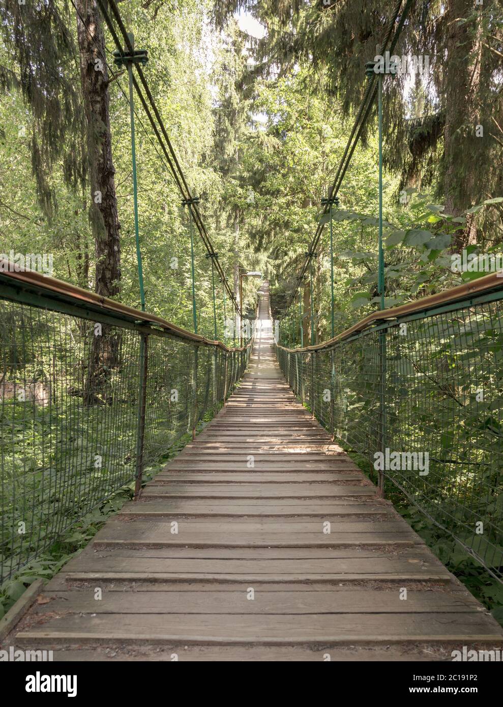 Rope walkway through the treetops in a rain forest Stock Photo - Alamy