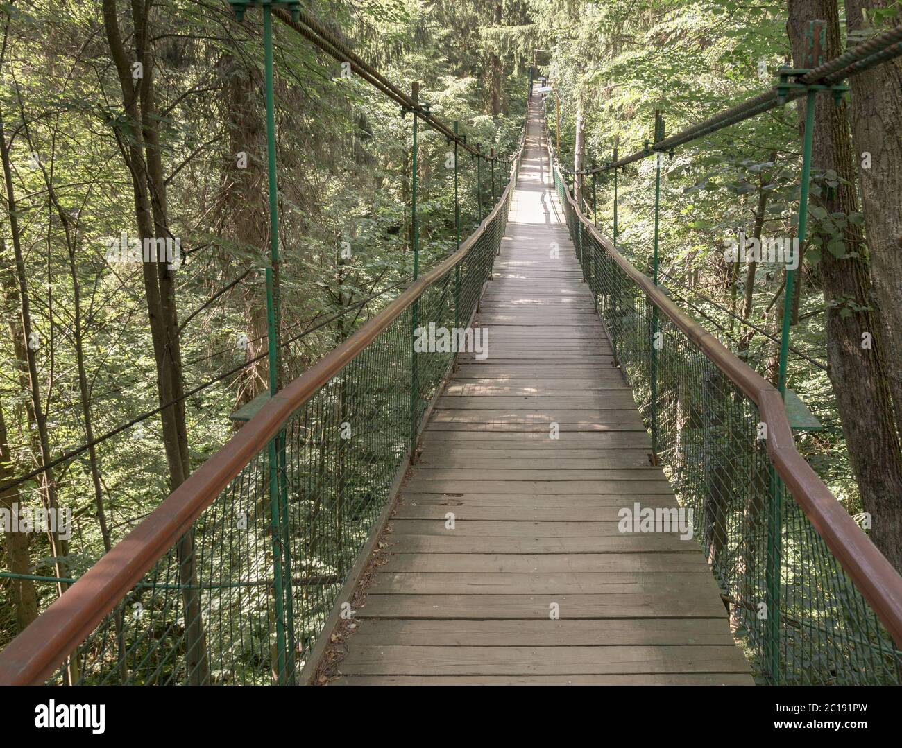 Treetops walkway hi-res stock photography and images - Alamy
