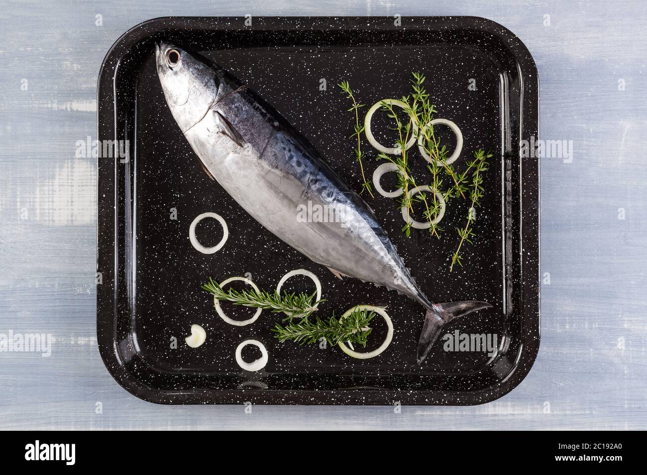 Fresh tuna fish Stock Photo - Alamy