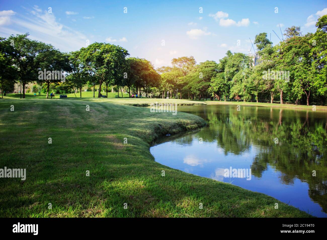 Lawn pond pond hi-res stock photography and images - Alamy