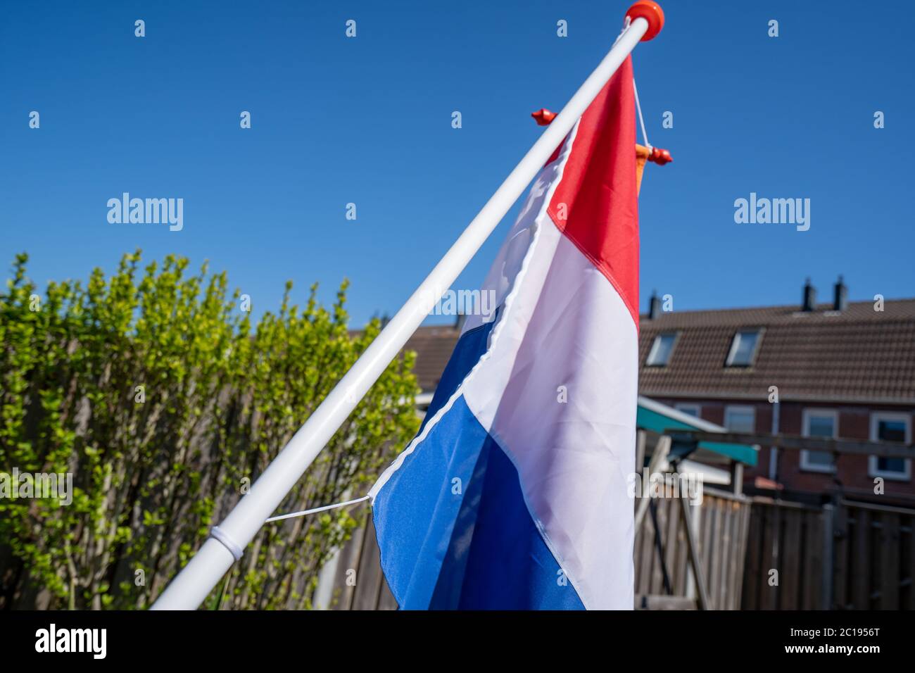 A close up of a dutch national flag Stock Photo - Alamy