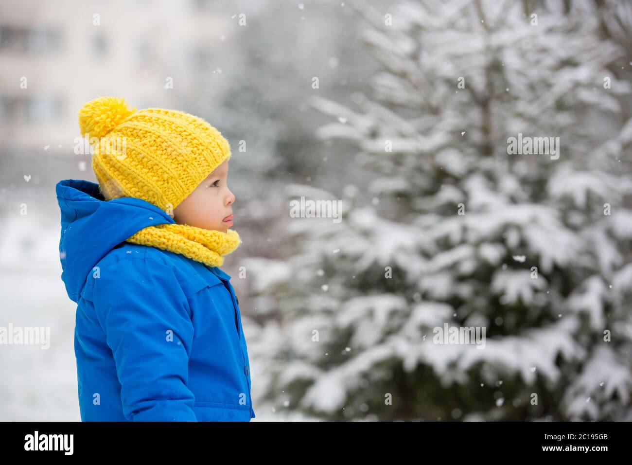 Sweet toddler boy, playing with snow on playground, kid play with snow ...