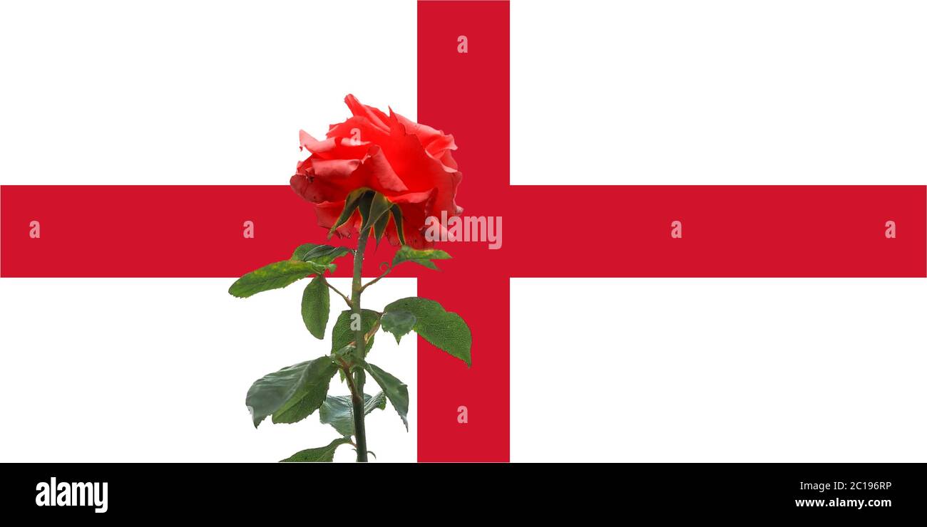 Rose flag hi-res stock photography and images - Alamy