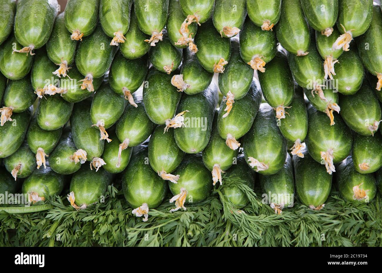 Fresh cucumbers at the market Stock Photo - Alamy