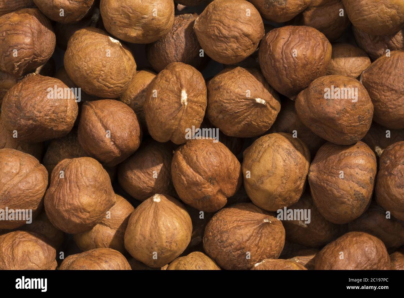 Closeup view and pattern of some Hazelnut Stock Photo - Alamy