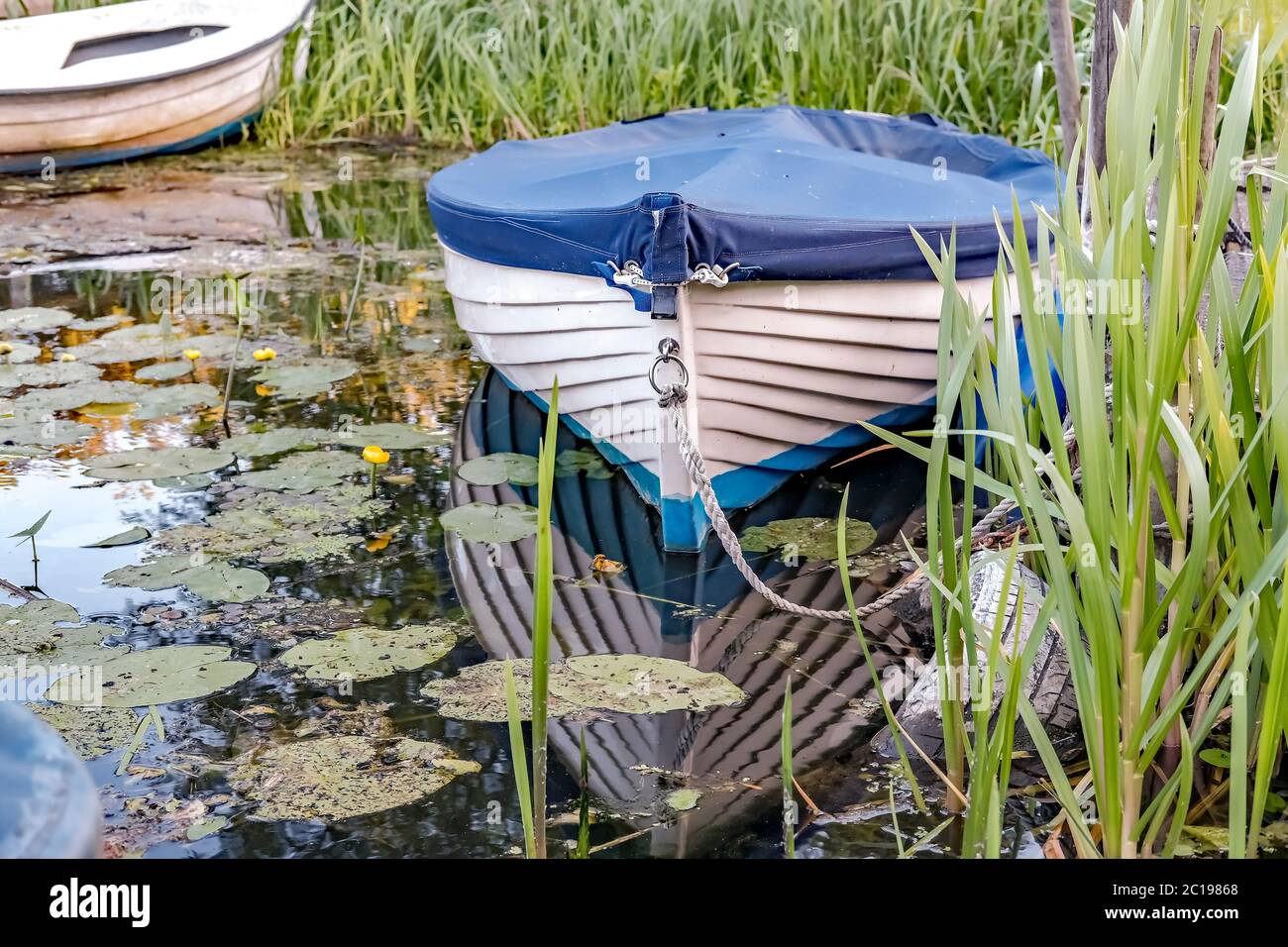 Close up of small white wooden leisure craft tied to the bank in a ...