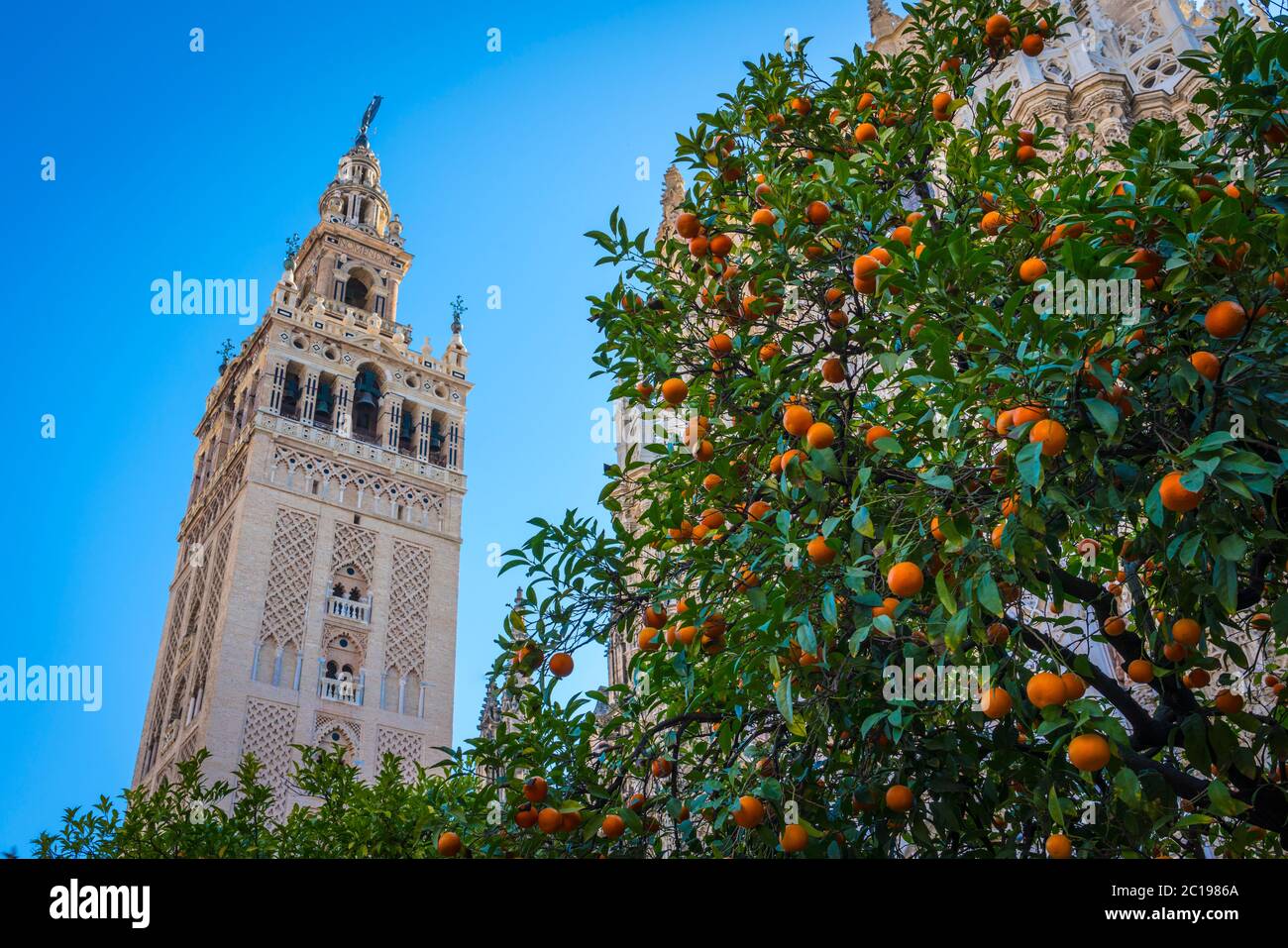 Sevilla Orange High Resolution Stock Photography and Images - Alamy