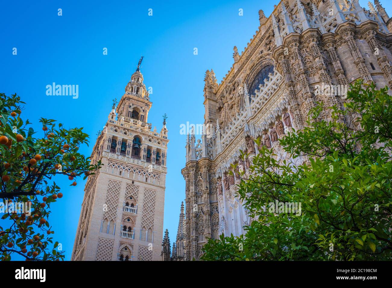 Sevilla Orange High Resolution Stock Photography and Images - Alamy