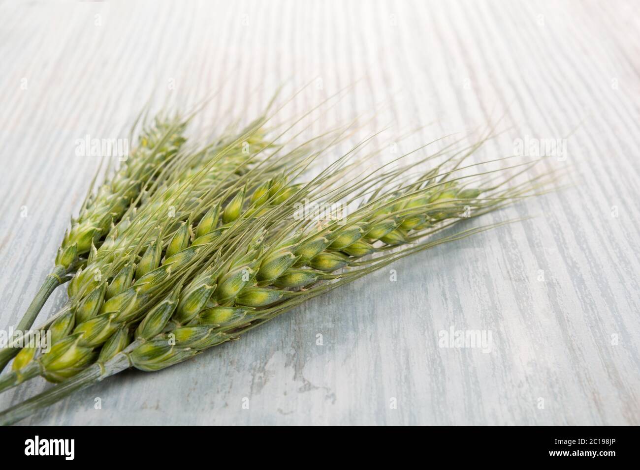 Green ears of wheat Stock Photo - Alamy