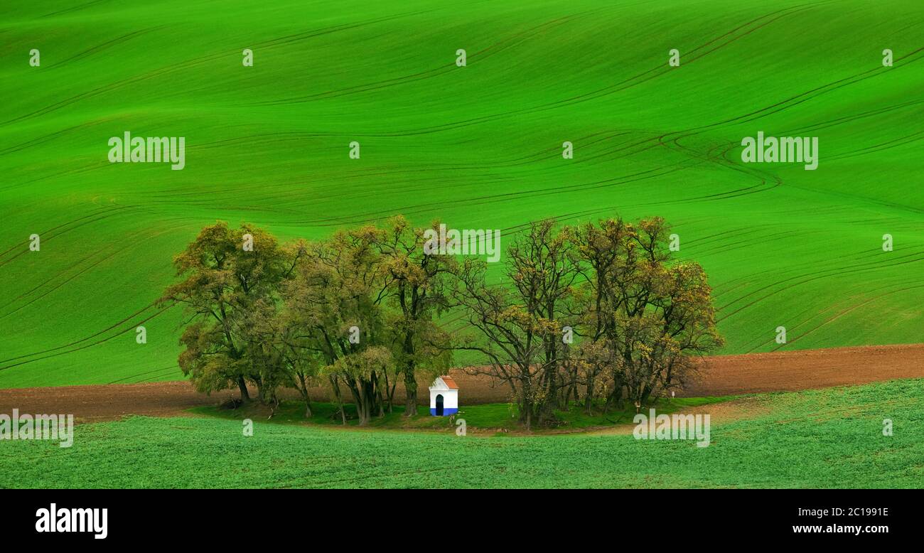 Famous moravian fields - Czech Republic Stock Photo - Alamy