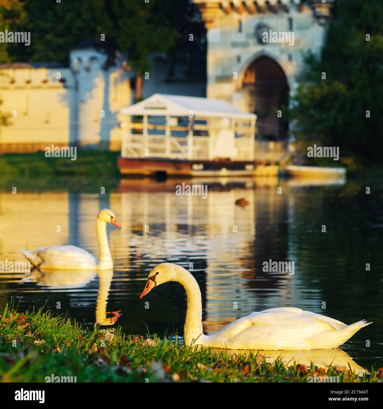 Swan castle hi-res stock photography and images - Alamy