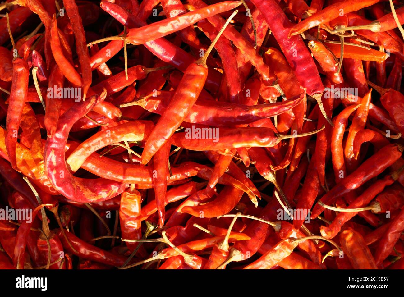 Indian dried red chillies hi-res stock photography and images - Alamy