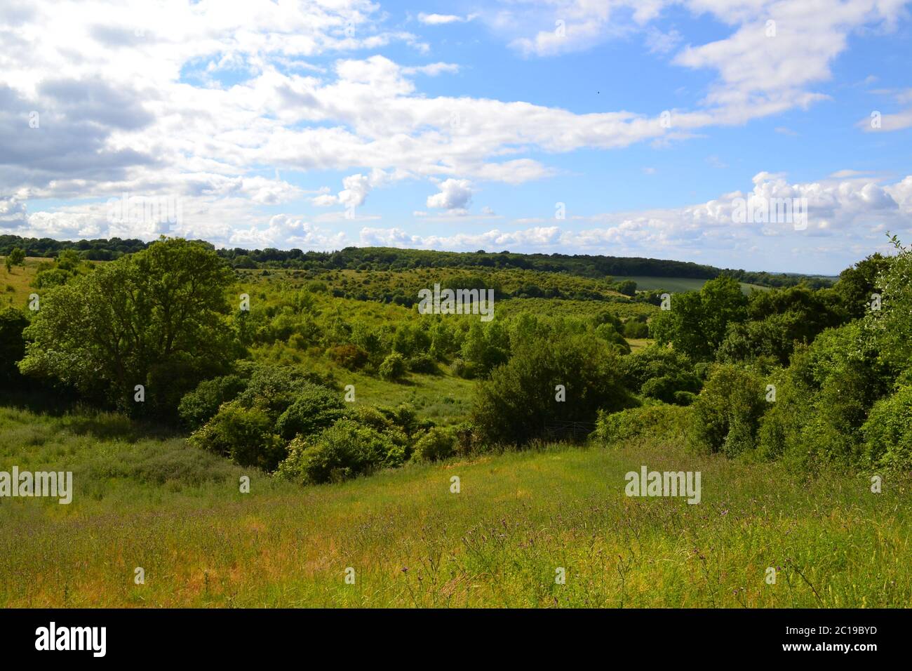 Wildflower-rich meadows near Shoreham, Kent, in June. Lovely view ...