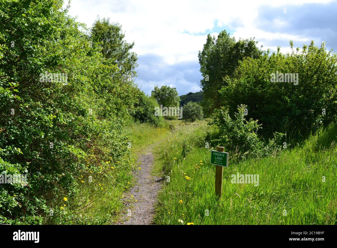 Rewilded land hi-res stock photography and images - Alamy