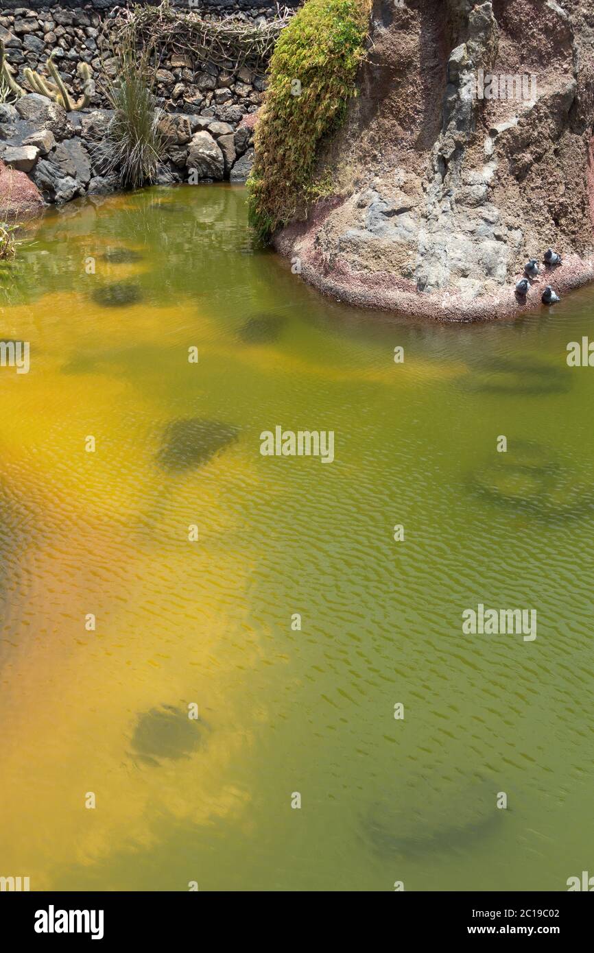 Scorched yellow hi-res stock photography and images - Alamy