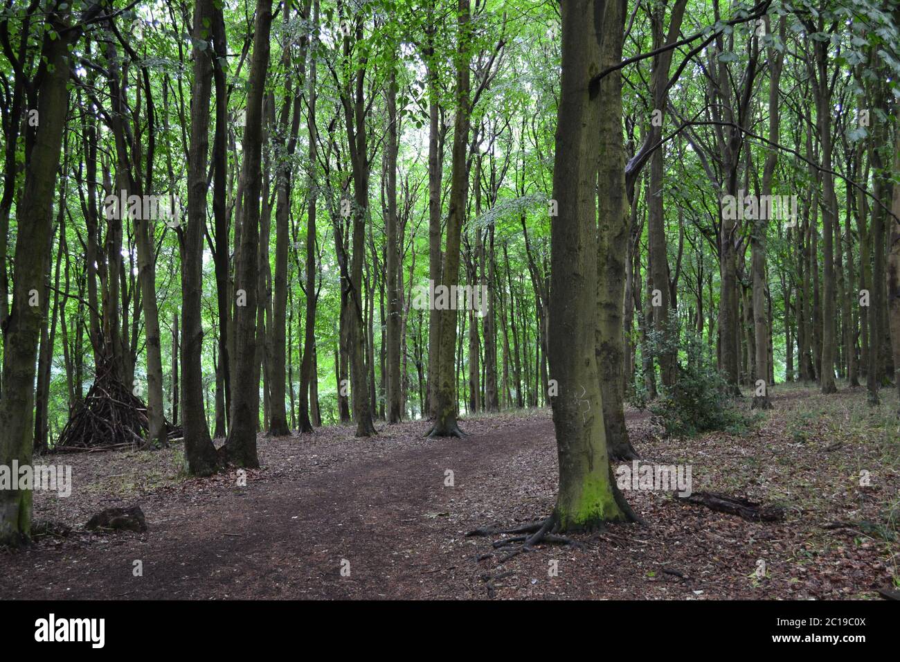 Rewilded meadows hi-res stock photography and images - Alamy