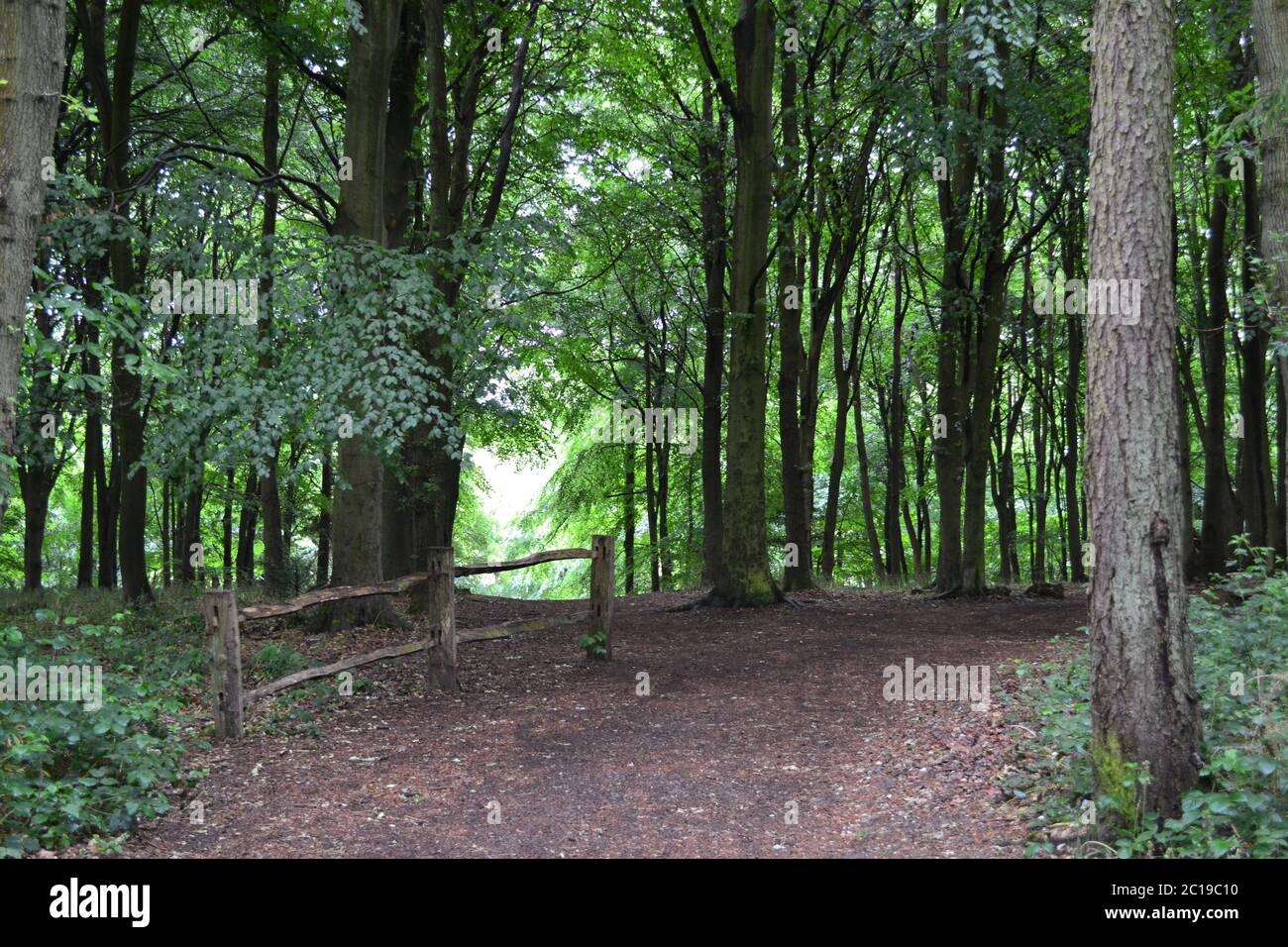 Rewilded Meadows High Resolution Stock Photography and Images - Alamy