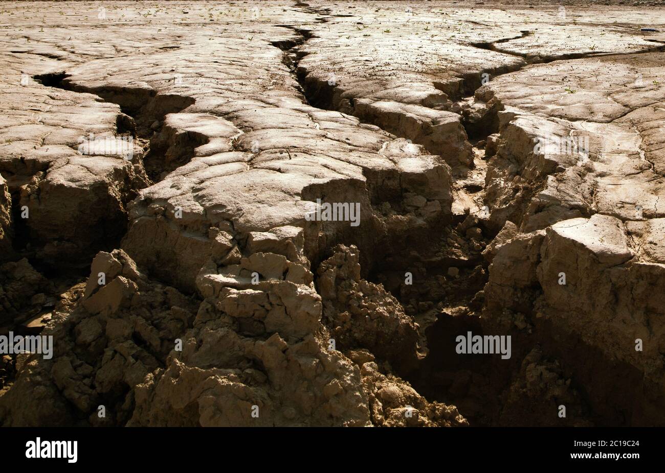 Scorched cracked dry earth surface hi-res stock photography and images ...