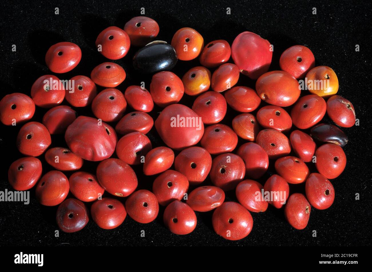 Colored Round Seeds Stock Photo - Alamy