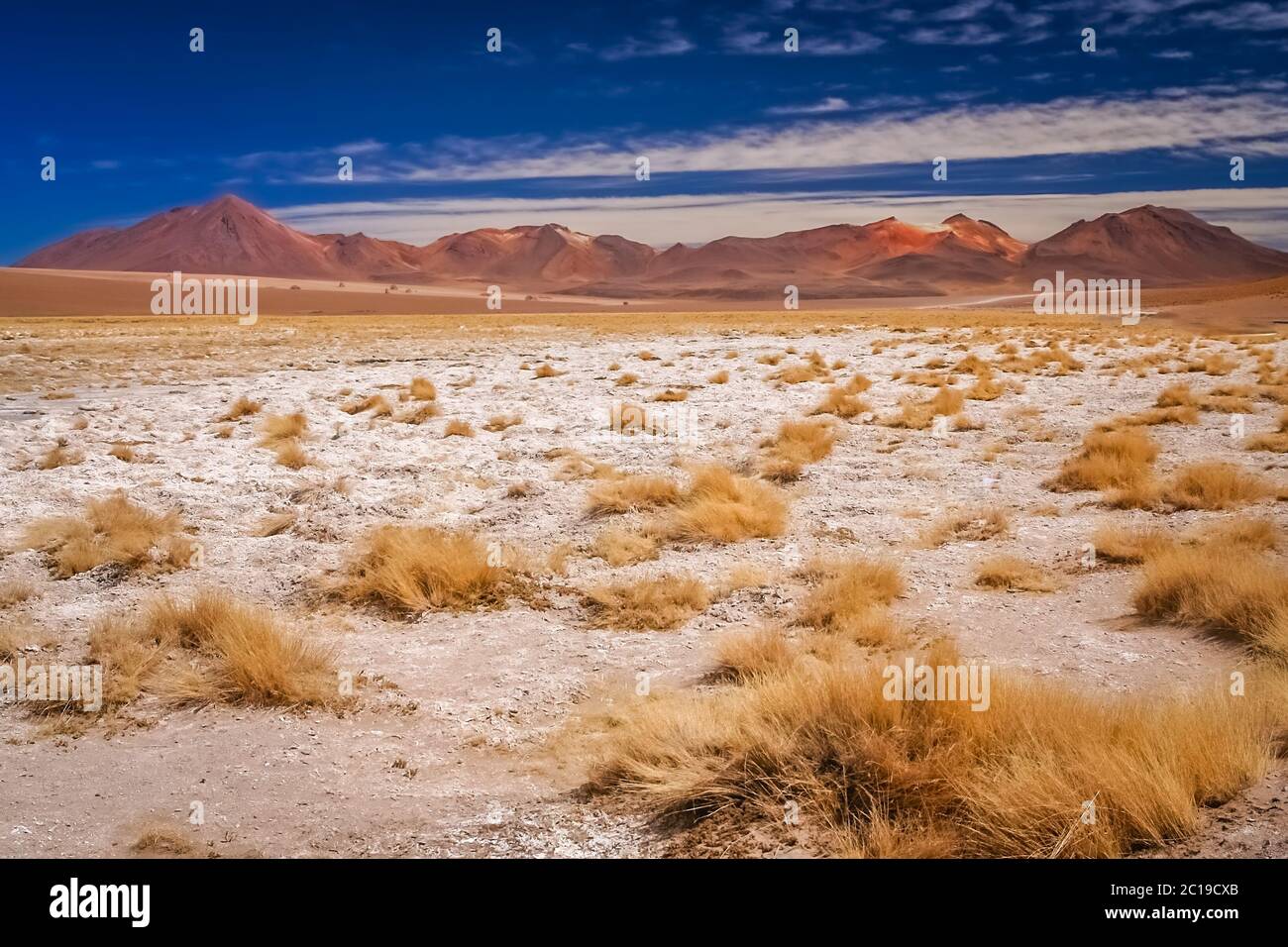 Dry and desolate landscape in southern Altiplano Stock Photo - Alamy