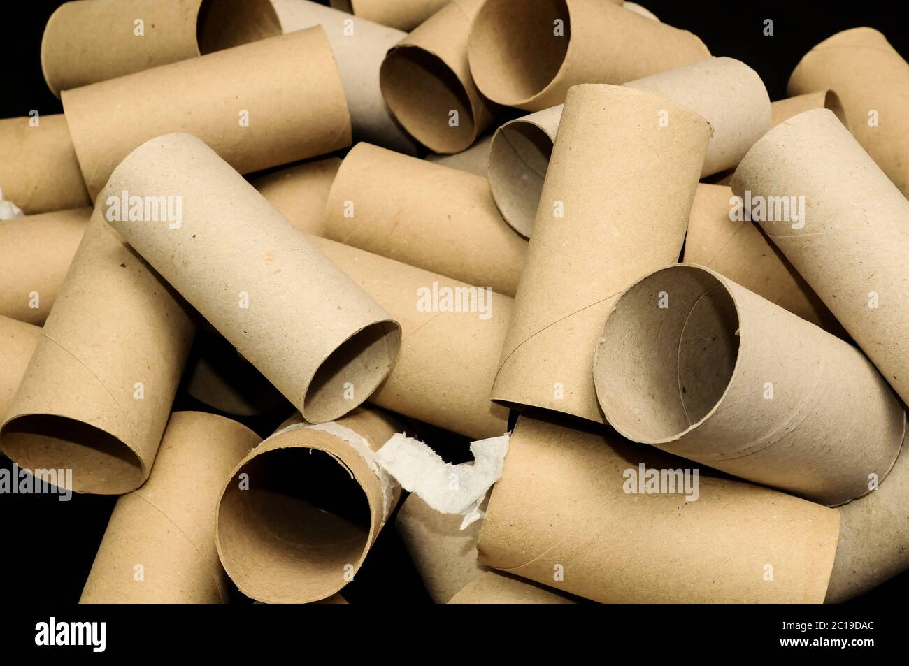 Empty loo roll hi-res stock photography and images - Alamy