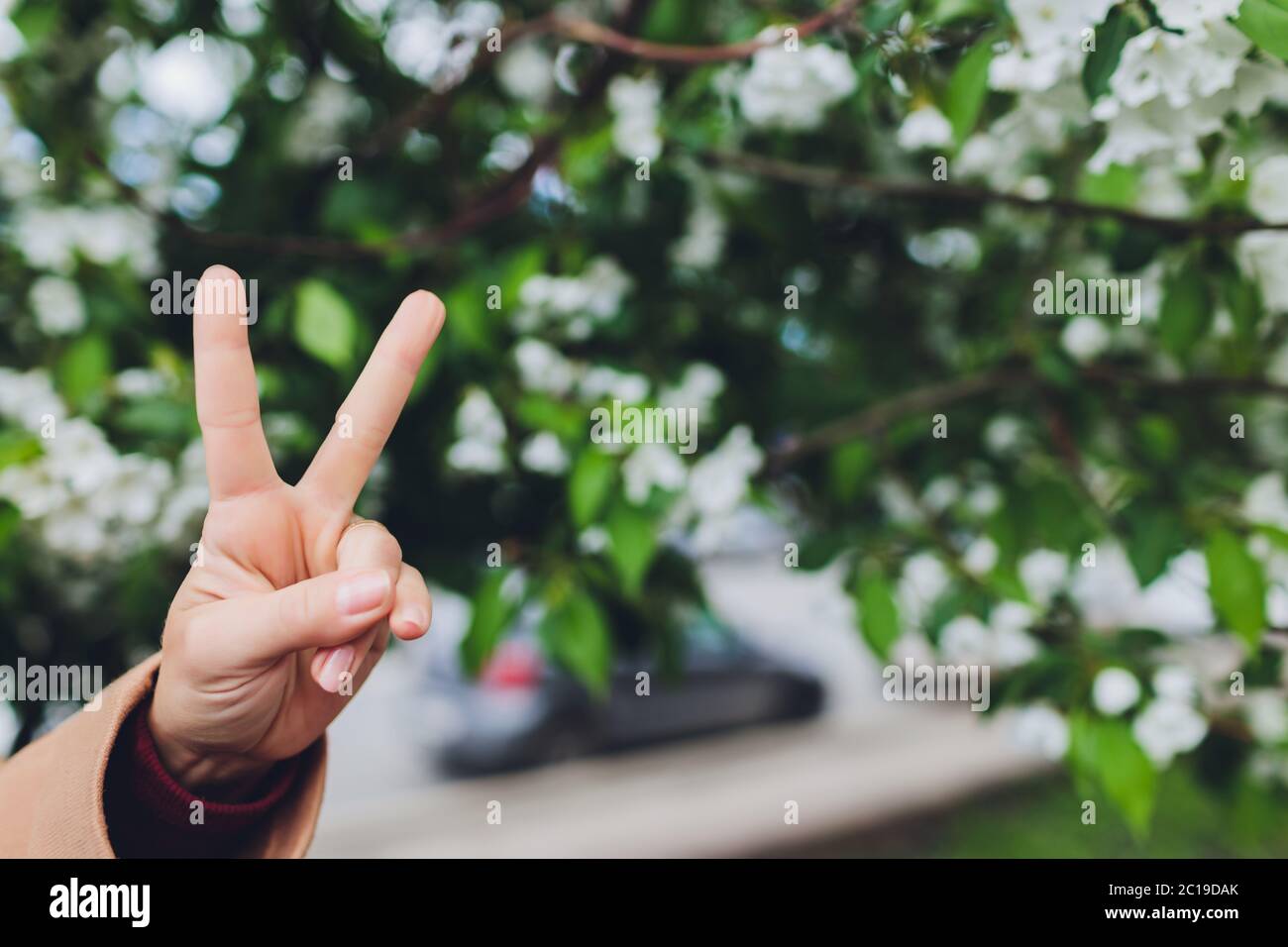 Adult person's hand showing two fingers up. Gesture victoria . Positive ...
