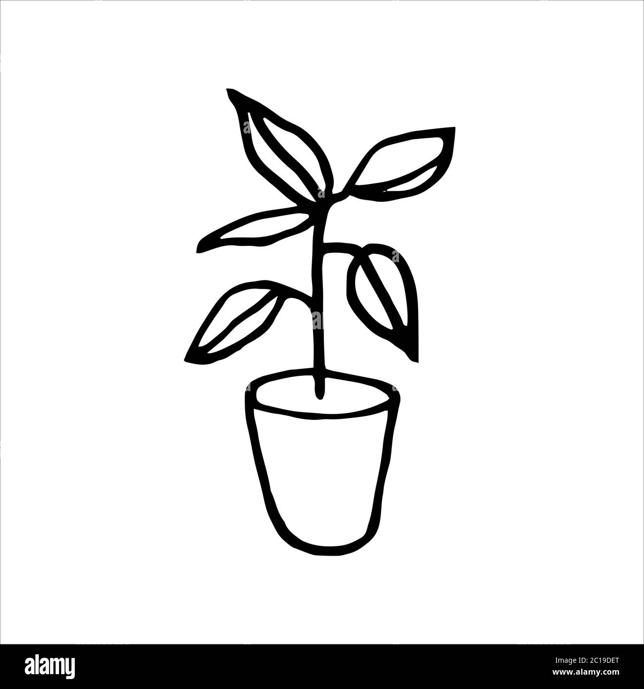 Sapling Drawing