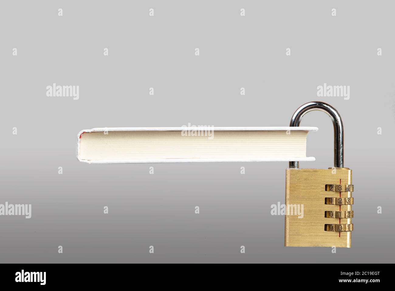 the closure of the National Emergency library of internet archive in ...