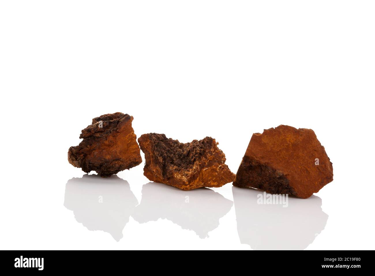 Chaga mushroom inonotus obliquus Cut Out Stock Images & Pictures - Alamy