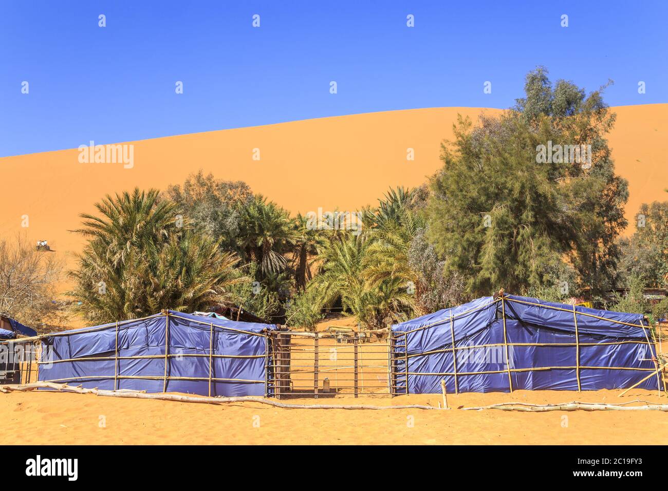 Tent huts in desert Stock Photo - Alamy