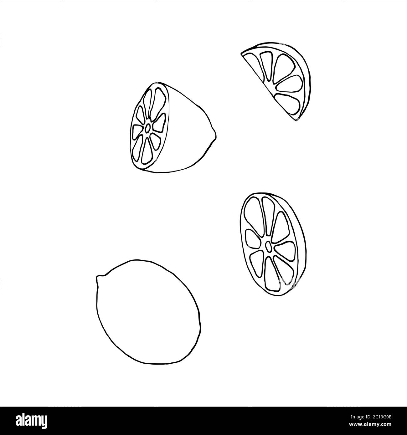 isolated on white background lemon drawing Stock illustration vector ...