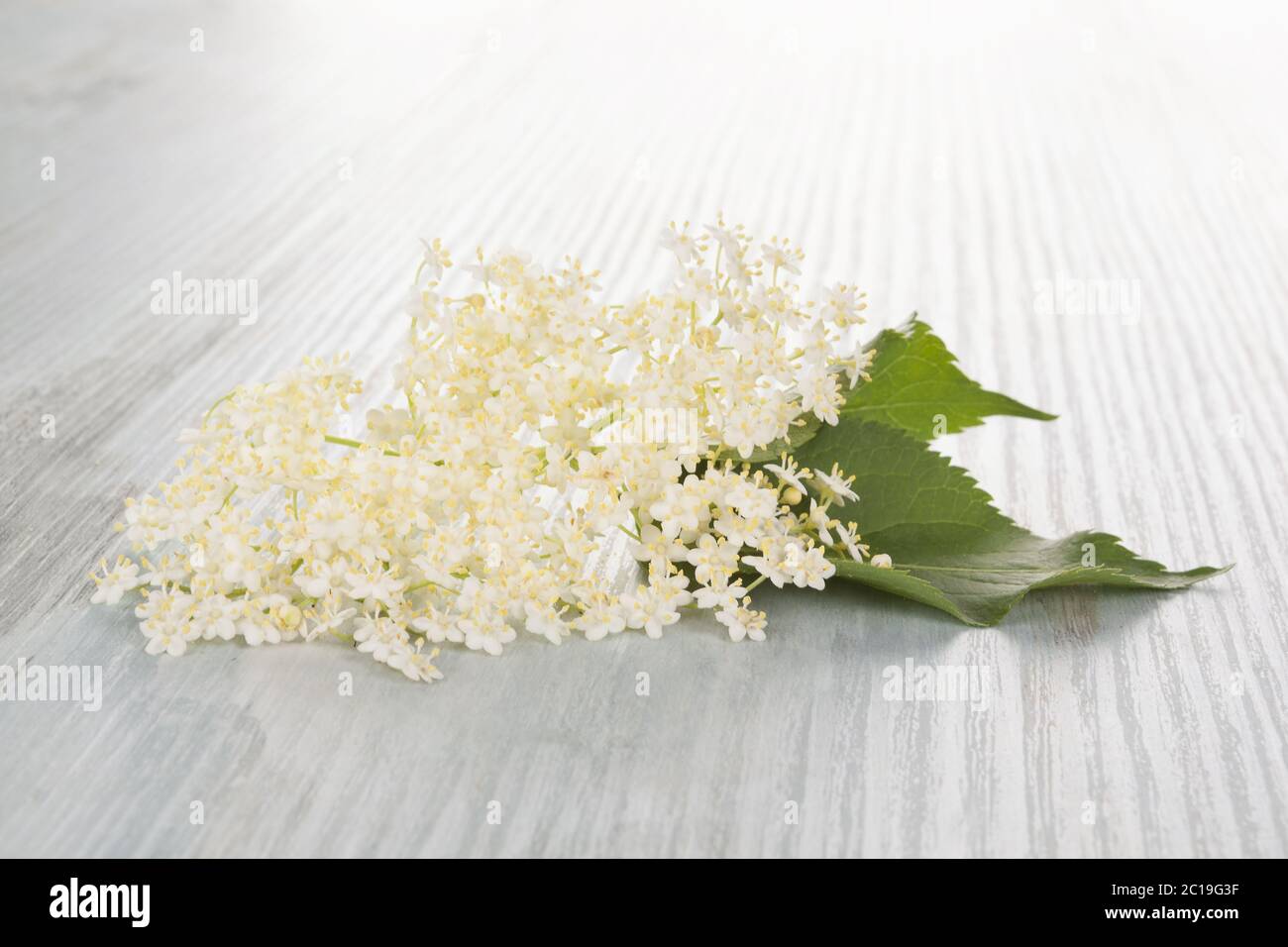 Elder table hi-res stock photography and images - Alamy