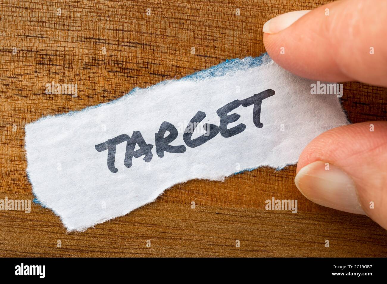 Target concept and theme written on old paper on a grunge background ...