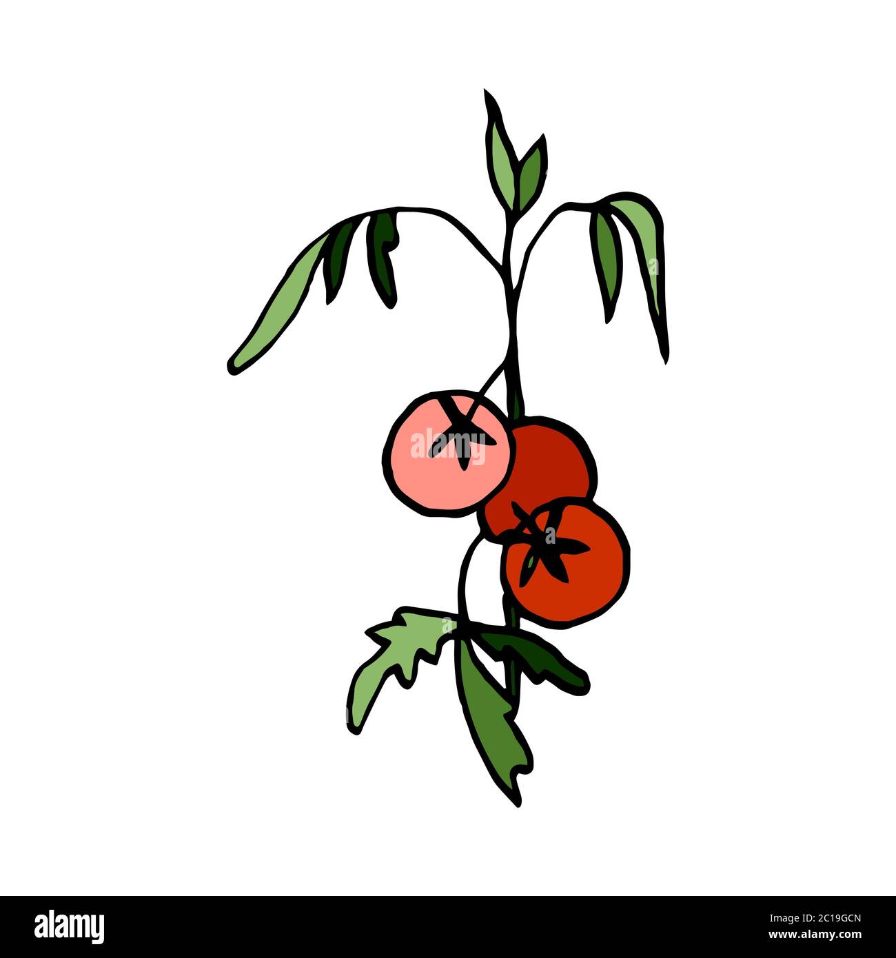 Tomato Tree Drawing