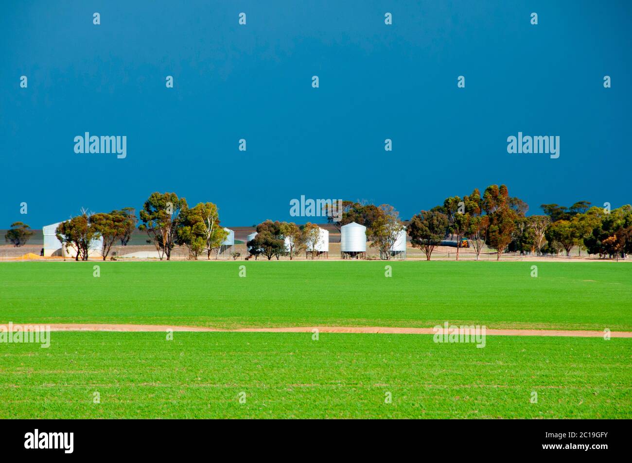 Agricultural Farming Fields - Western Australia Stock Photo - Alamy