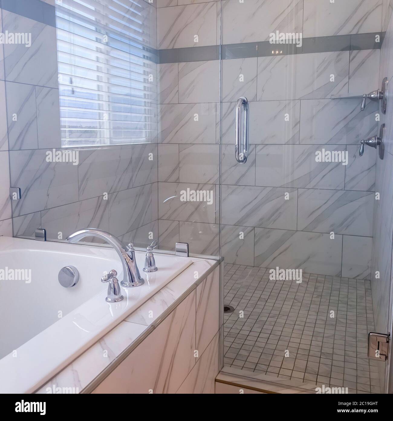 Square frame Bathroom interior with shower area and bathtub separated ...