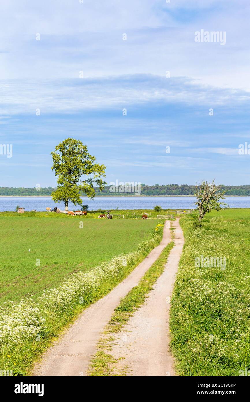 Summer idyll hi-res stock photography and images - Alamy